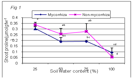 The effects of Glomus mosseae on growth and physiology of Acacia albida ...