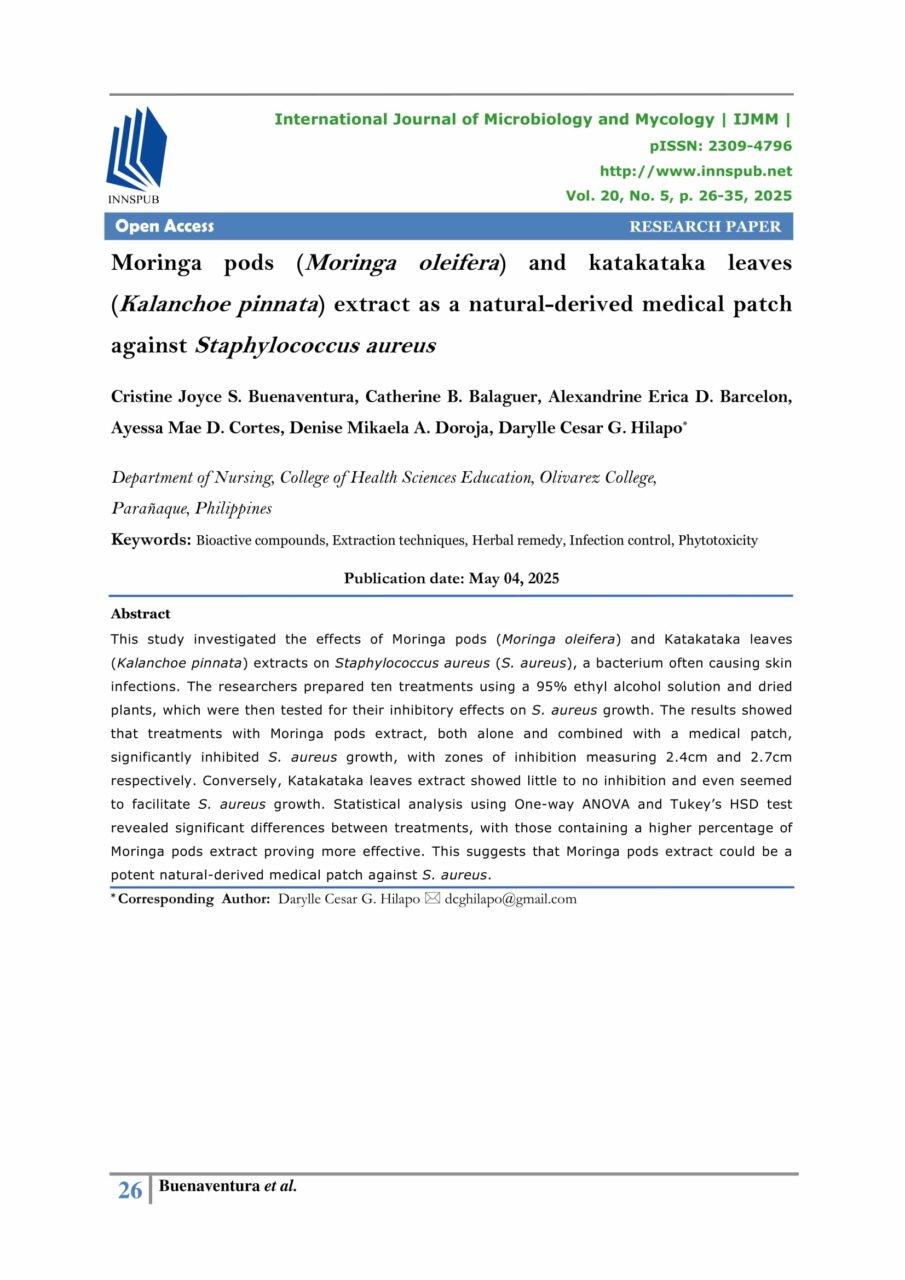 Moringa pods (Moringa oleifera) and katakataka leaves (Kalanchoe ...