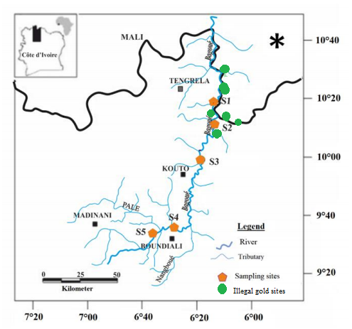 Population parameters and exploitation levels of Synodontis ...
