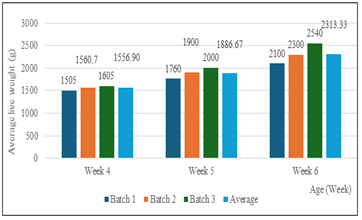 Evolution of the weight of carcasses and offal of Cobb 500 broiler ...